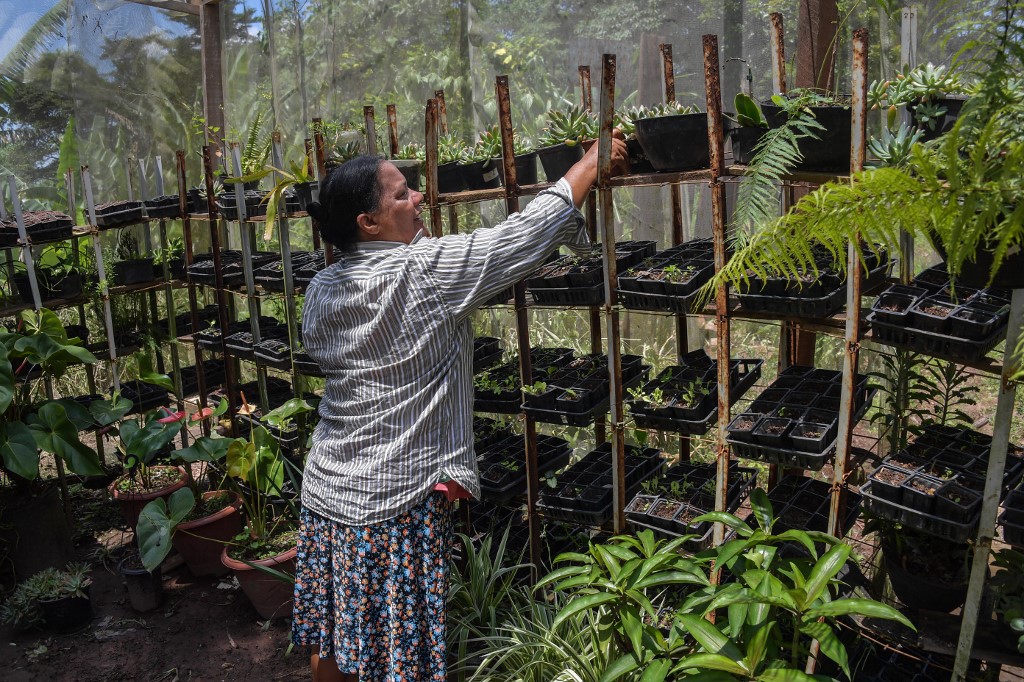 'Green favela' fights to live sustainably in Brazil