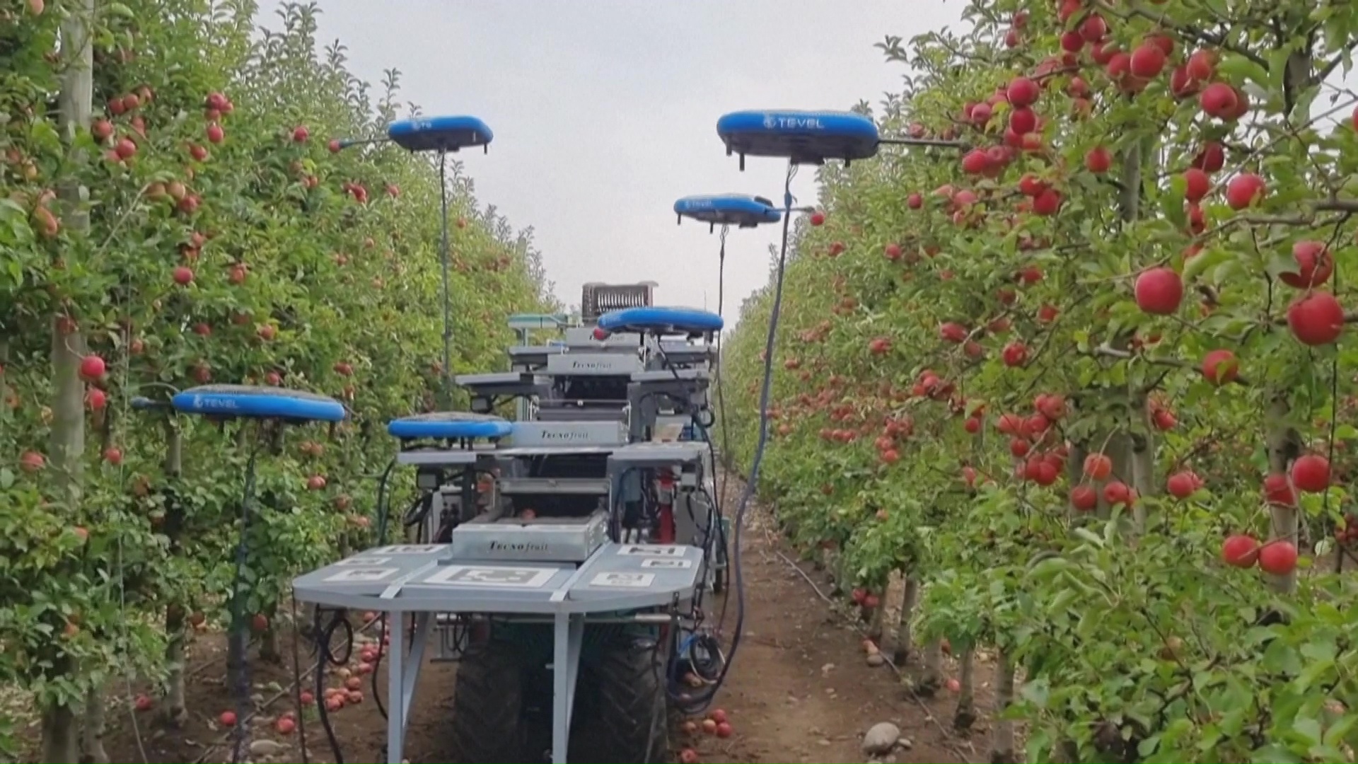 Israel enlists drones, AI and big data to farm for the future