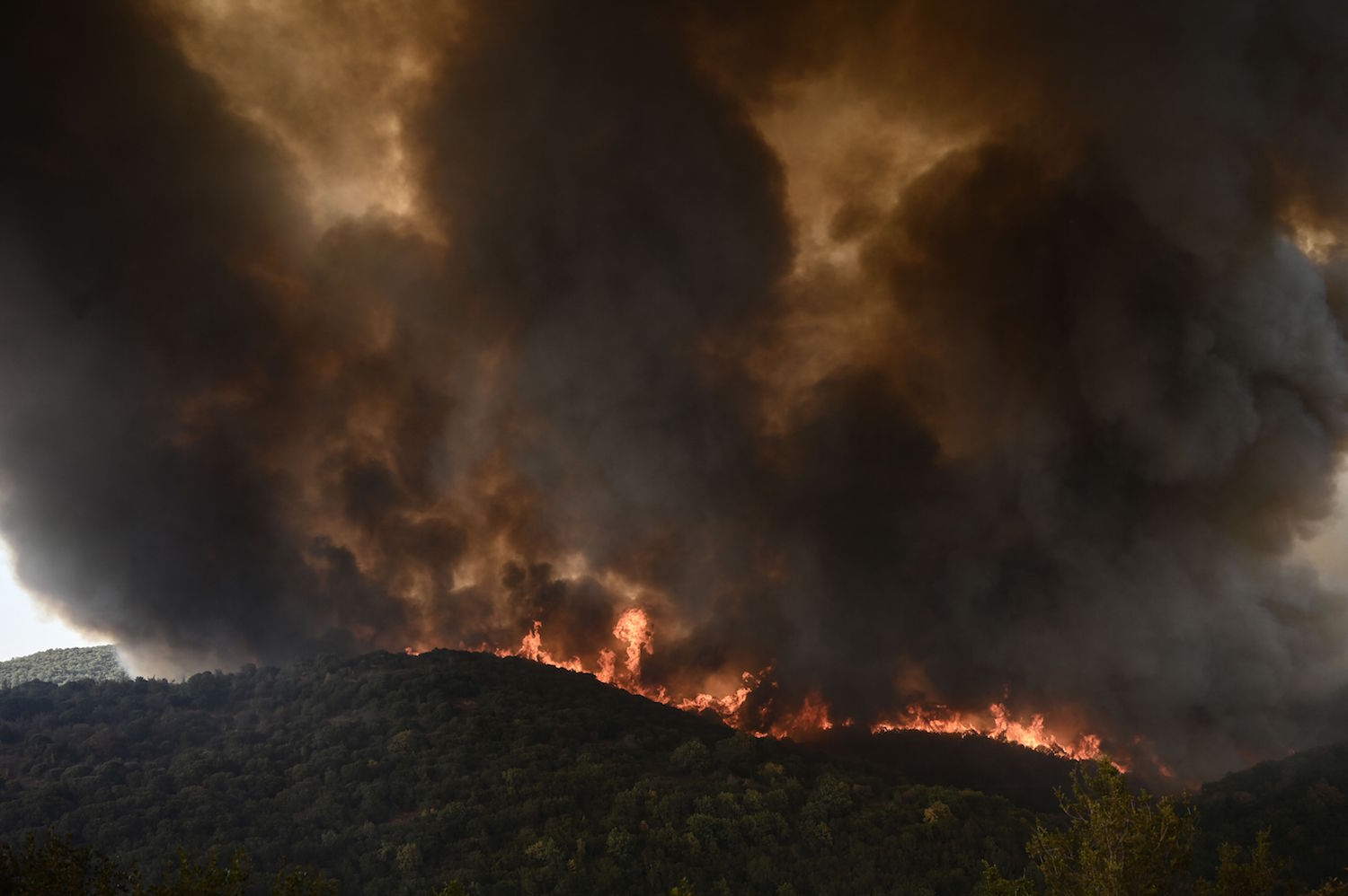 Greece blaze is 'largest wildfire ever recorded in EU'